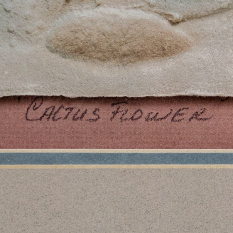 Vintage Figi Graphics Large 21x21 Wess Pressed Art Print “cactus Flower ...