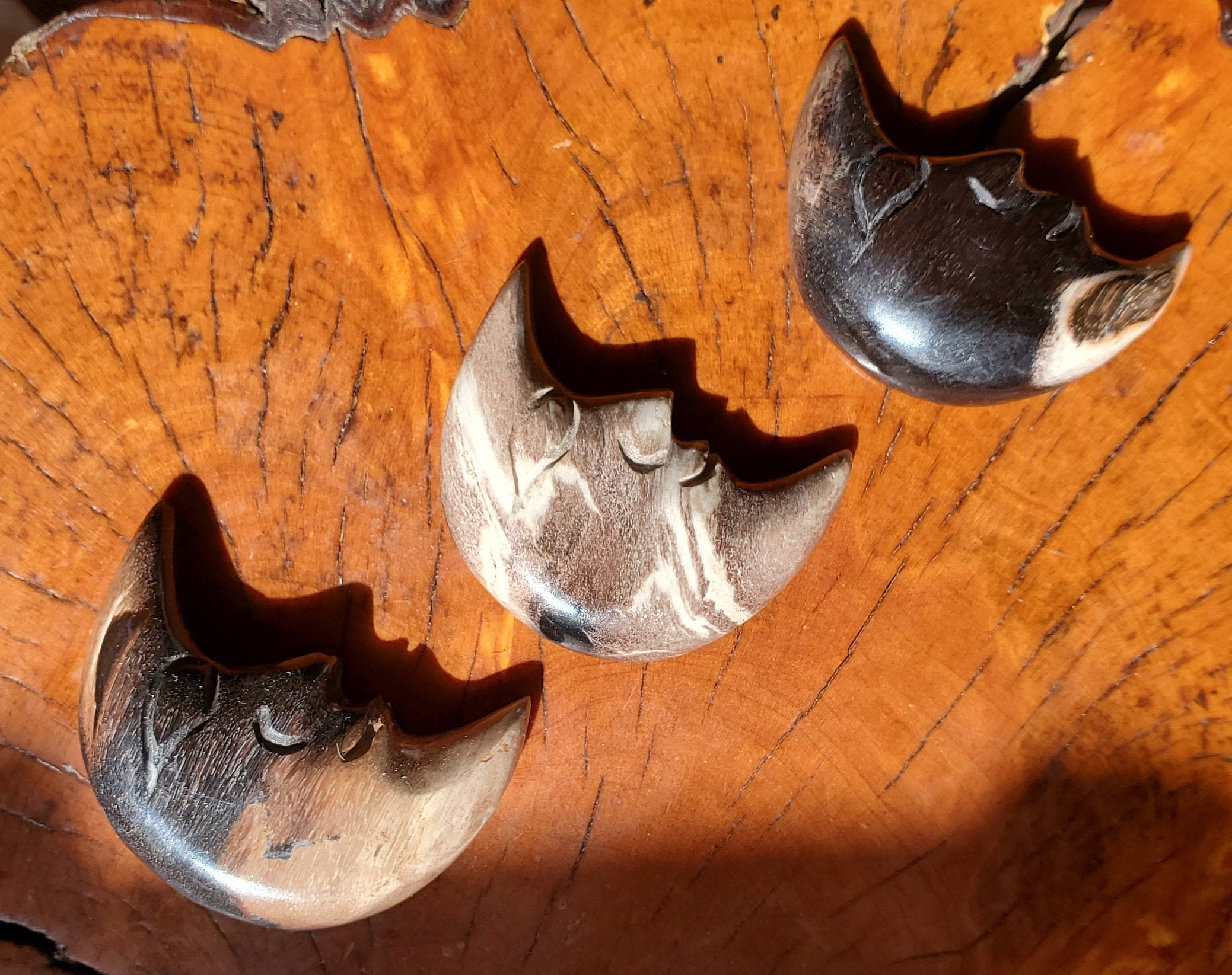 Hand Carved Petrified Wood Moons. Moon With Face. Fossilized | Etsy