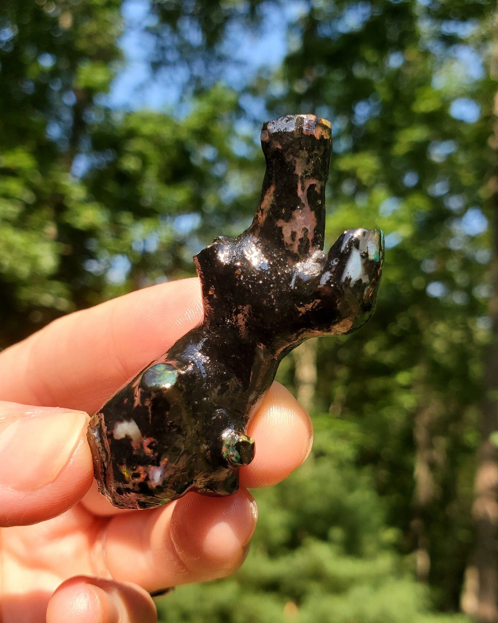 Incredibly Rare Fossilized Opalized Branch Opalized Wood. - Etsy