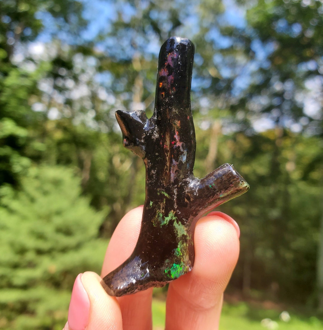 Incredibly Rare Fossilized, Opalized Branch!! Opalized Wood. Opalized ...