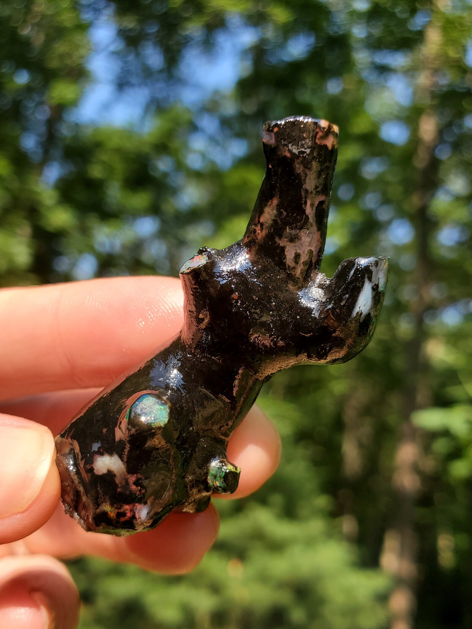 Incredibly Rare Fossilized Opalized Branch Opalized Wood. - Etsy