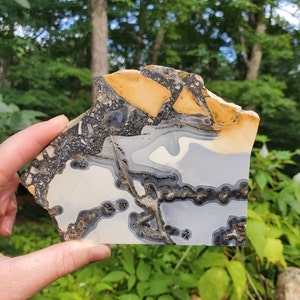 Polished Malingano Jasper Slab: Dendritic Brecciated Slice - Etsy