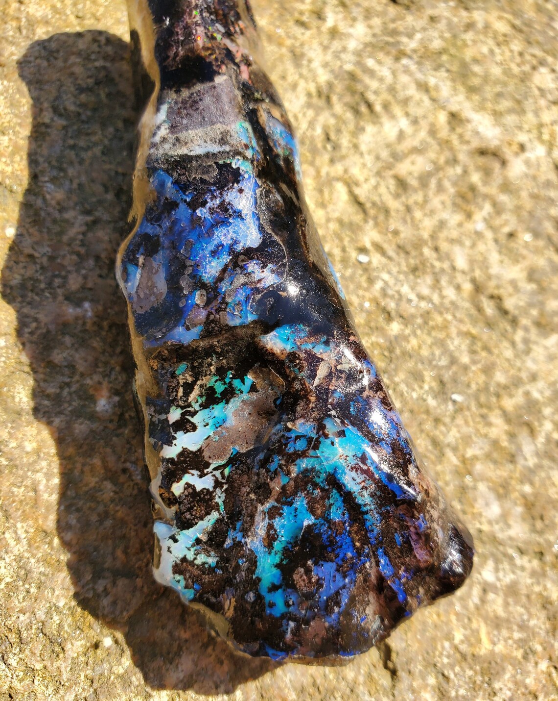 EXTRA LARGE Incredibly Rare Fossilized, Opalized Branch Piece ...