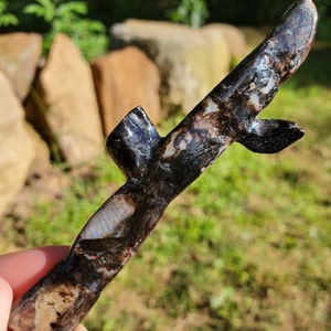 Incredibly Rare Fossilized, Opalized Branch!! Opalized Wood. Opalized ...