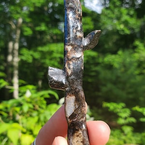 Incredibly Rare Fossilized, Opalized Branch!! Opalized Wood. Opalized ...