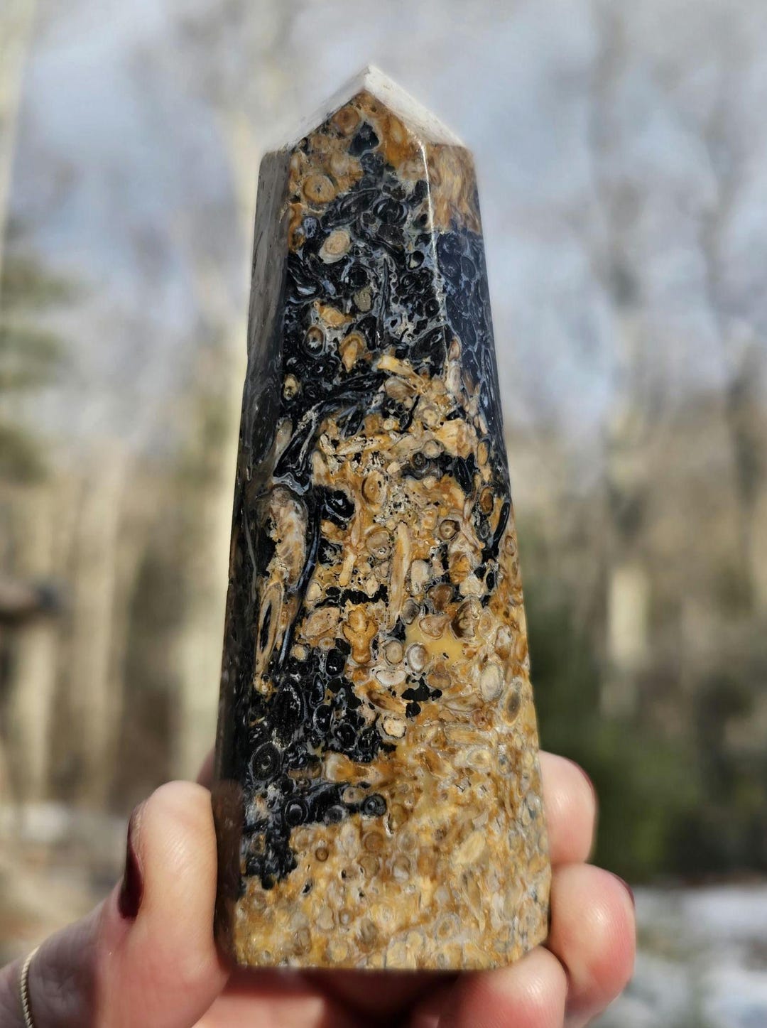 Fossilized Palmroot Tower. Fossilized Wood. Polished Crystal. Natural ...