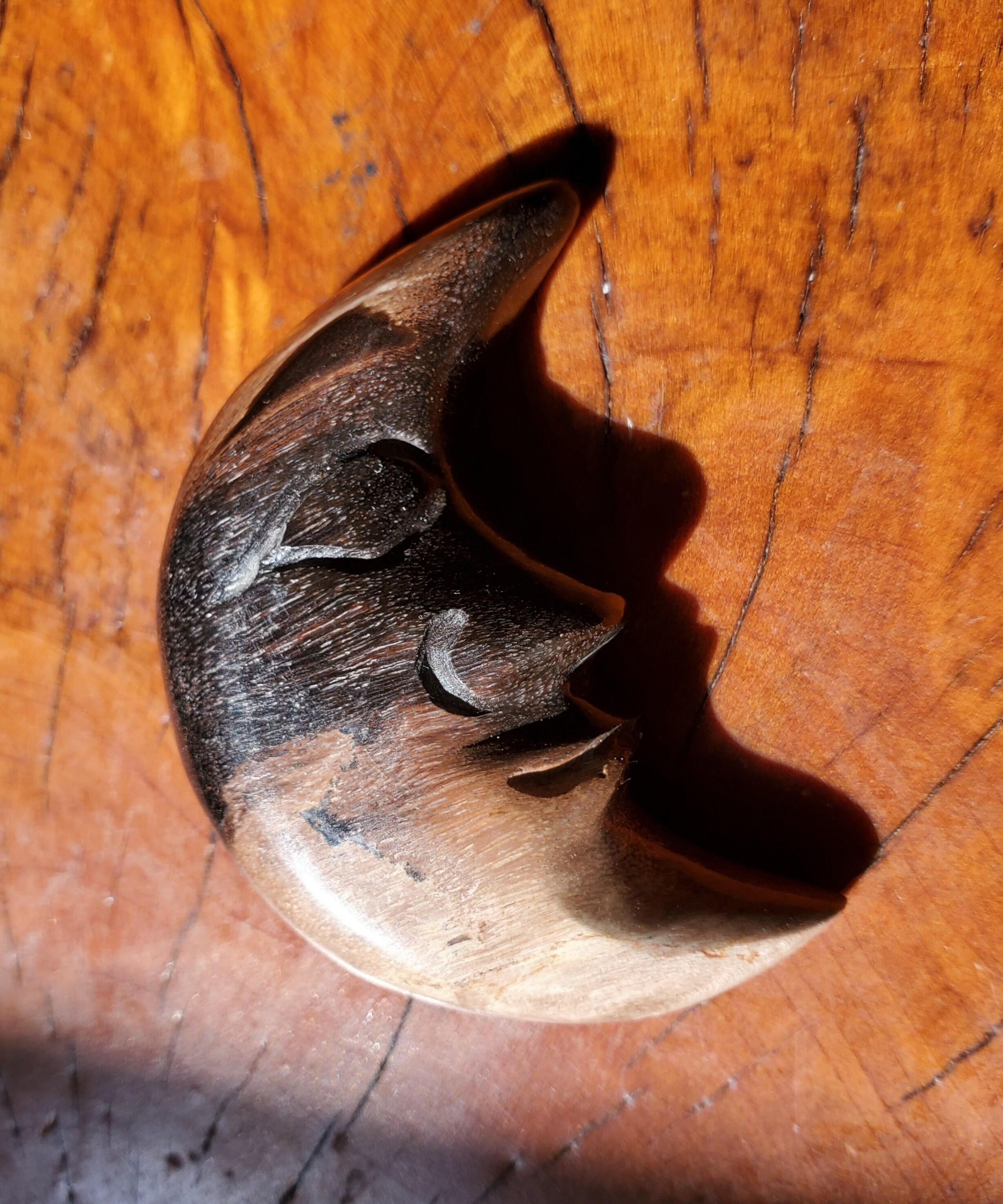 Hand Carved Petrified Wood Moons. Moon With Face. Fossilized | Etsy