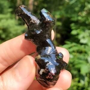 Incredibly Rare Fossilized, Opalized Branch!! Opalized Wood. Opalized ...