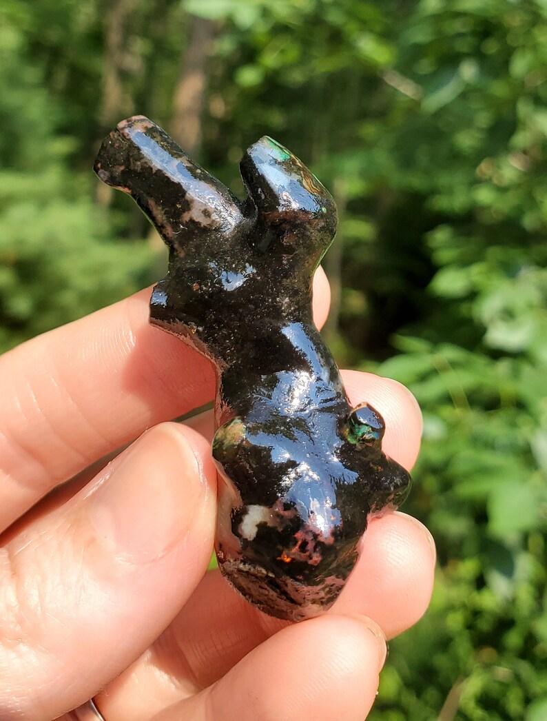 Incredibly Rare Fossilized Opalized Branch Opalized Wood. - Etsy