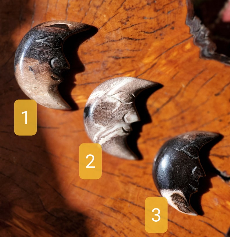 Hand Carved Petrified Wood Moons. Moon With Face. Fossilized - Etsy