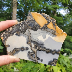 Large Malingano Jasper Polished Slab. JASPER Slice. Dendritic Jasper ...