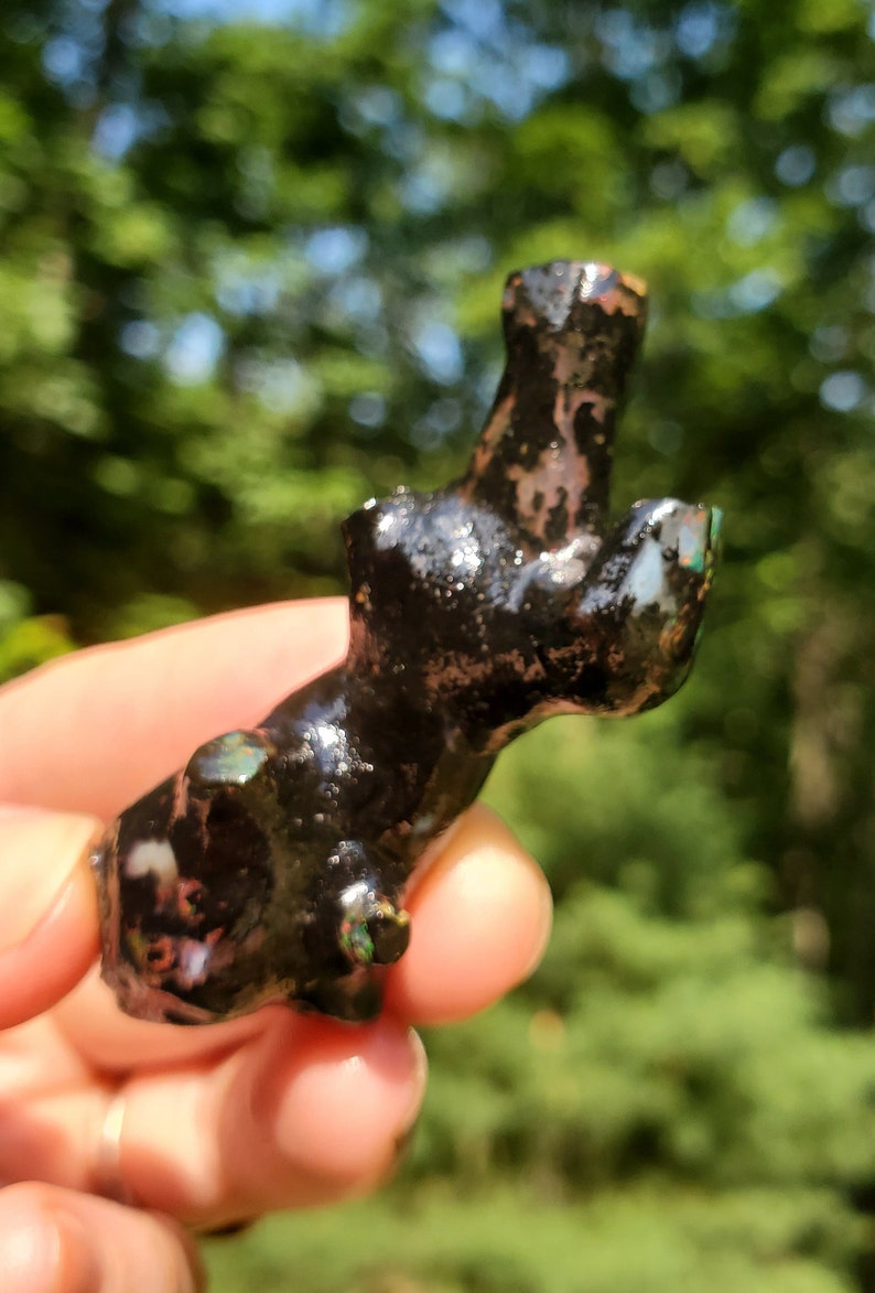 Incredibly Rare Fossilized Opalized Branch Opalized Wood. - Etsy