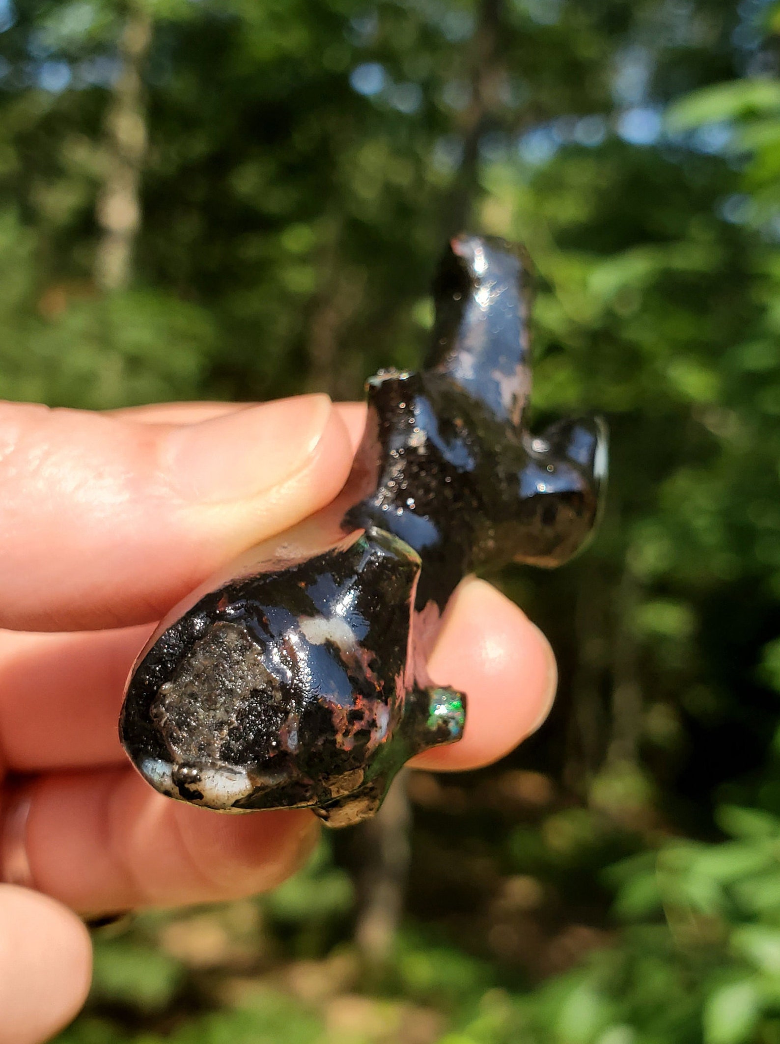 Incredibly Rare Fossilized Opalized Branch Opalized Wood. - Etsy