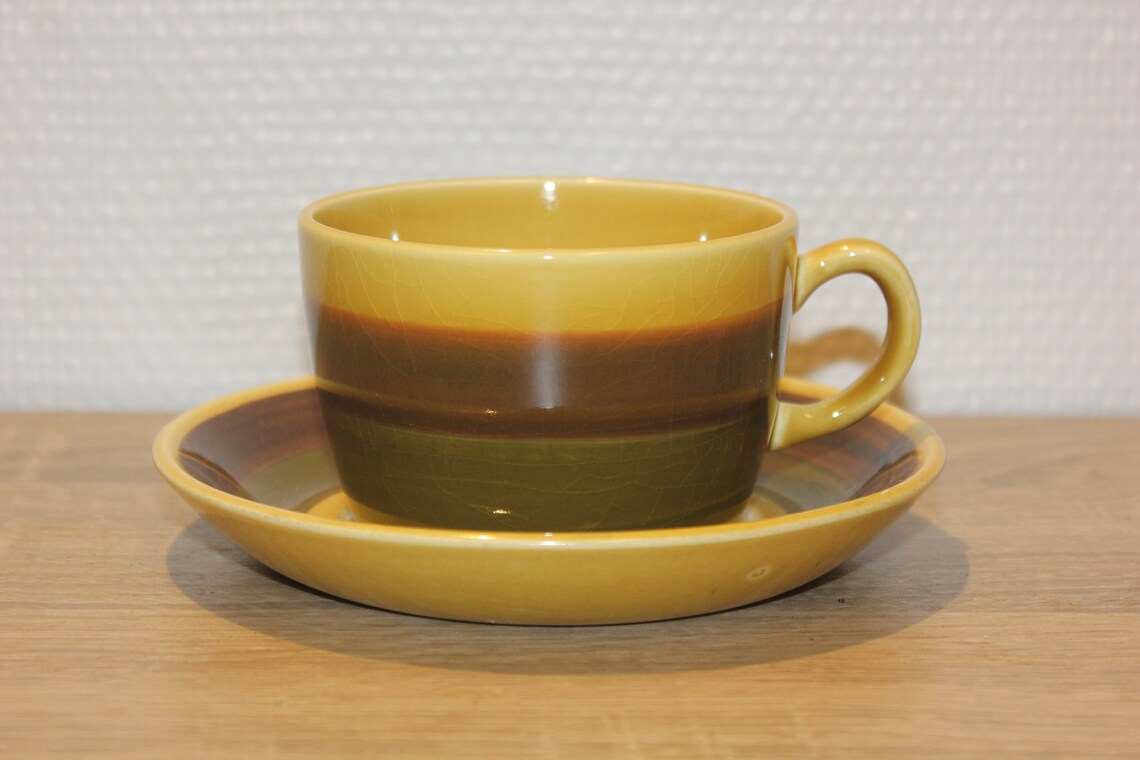 Figgjo F555 Tea Cup and Saucer, Mid-century Tableware, Vintage ...