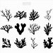 Corals Svg, Coral Clipart, Underwater Png, Sea Coral Dxf Logo, Ocean ...