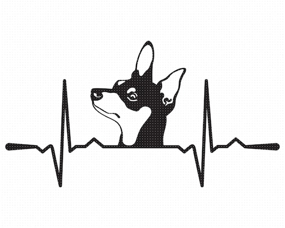 Miniature Pinscher Svg Mini Pinscher Svg Min Pin Svg | Etsy