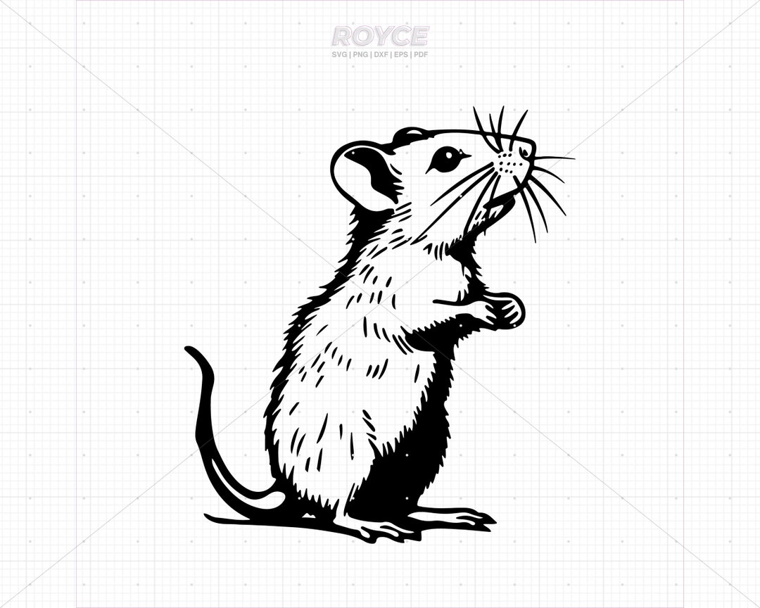 Rat Svg, Rat Standing up Clipart, Rat Png, Rat Dxf, Rat Silhouette, Rat ...