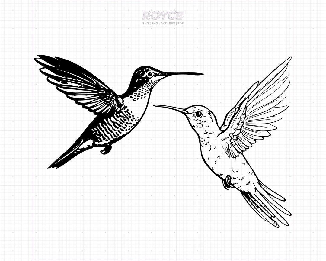 Hummingbird Svg, Hummingbird Clipart, Hummingbird Png, Hummingbird Dxf ...