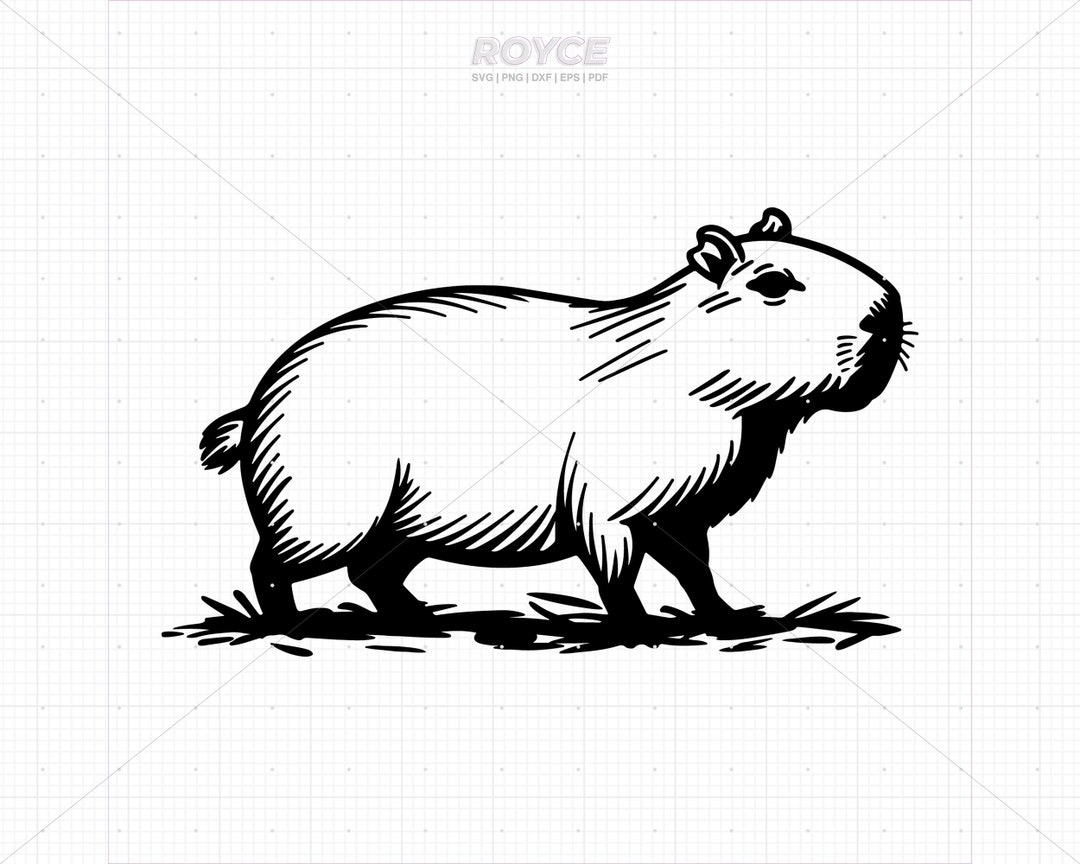 Capybara Svg, Capybara Clipart, Capybara Png, Capybara Dxf, Capybara ...
