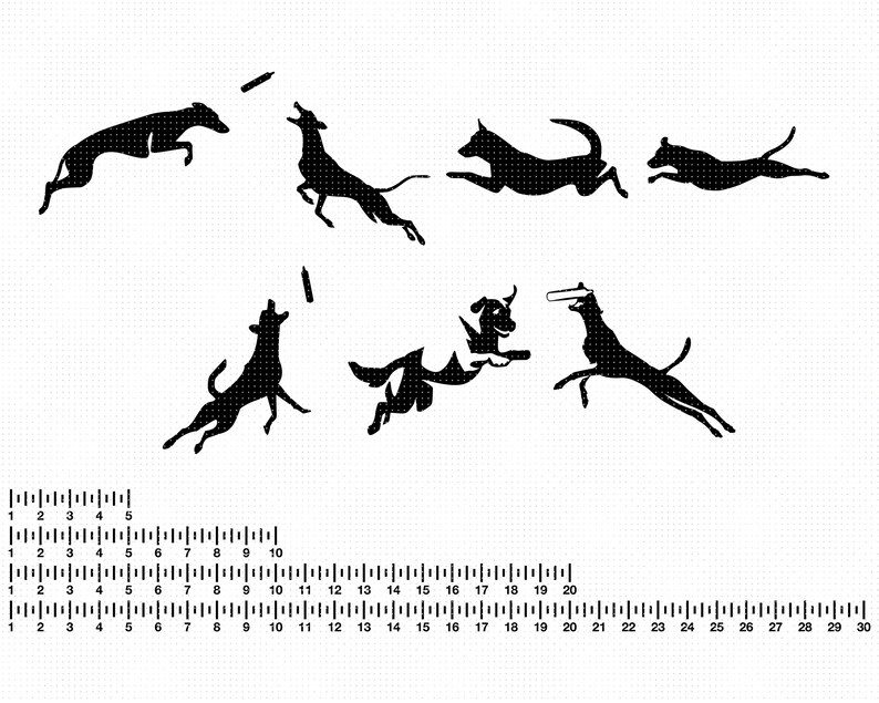 Dog diving svg dock jumping clipart dog swimming hand drawn | Etsy