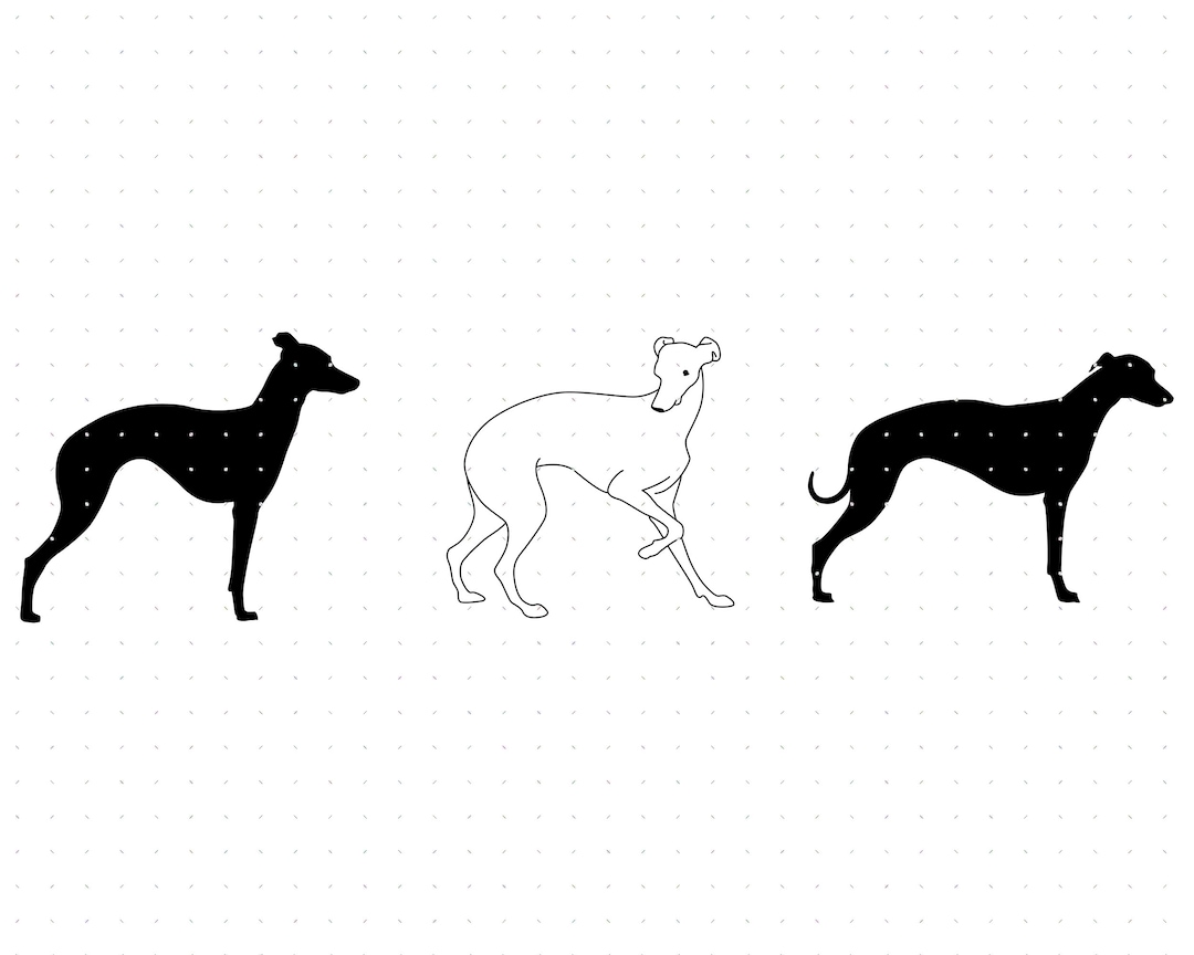 Whippet Svg, Whippet Dog Clipart, Whippet Dog Breed Png, Whippet Dxf ...