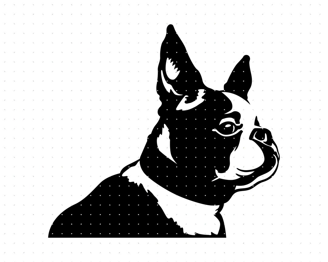 Boston Terrier Svg, Boston Terrrier Clipart, Boston Terrier Png, Boston ...