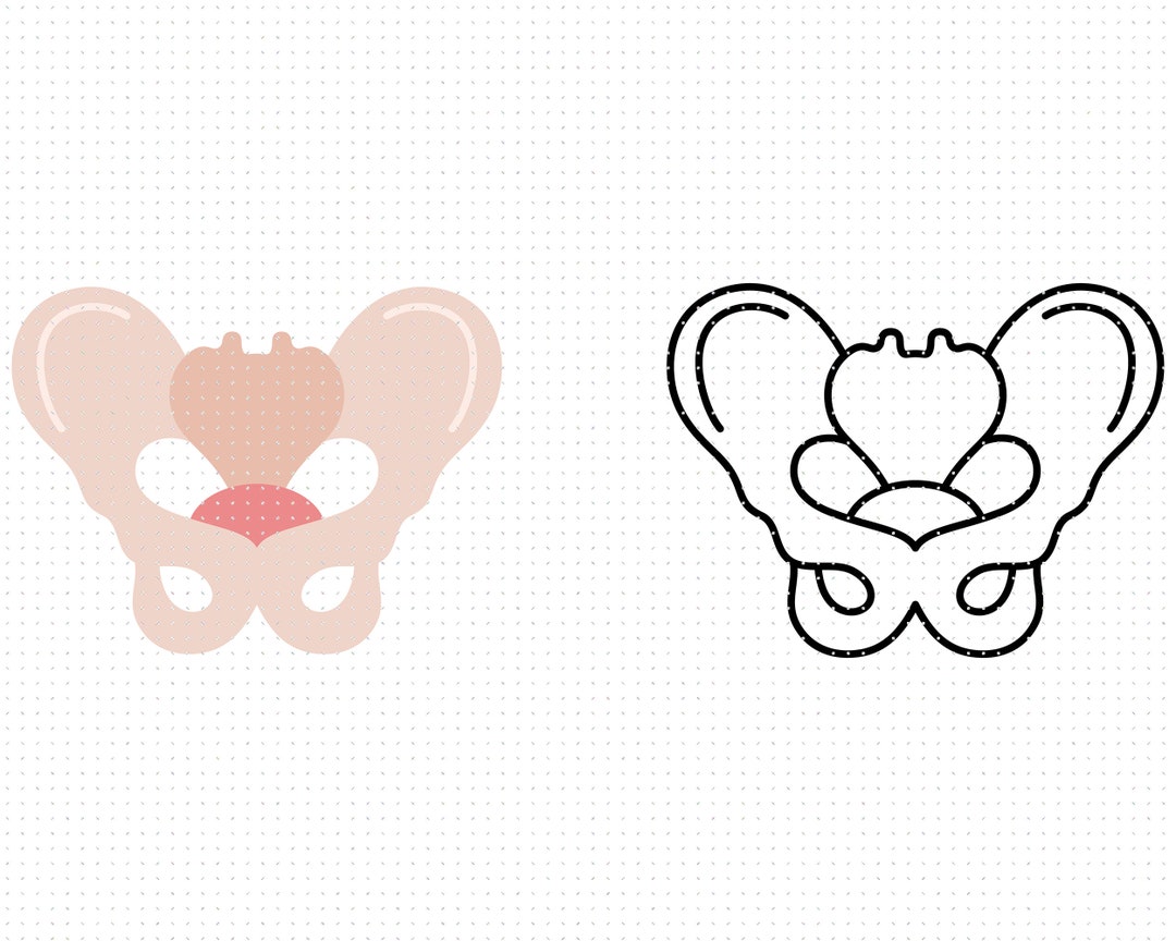 Pelvic Urine Svg, Pelvic Floor Clipart, PT Png, Hip Bone Svg, Physical ...