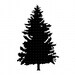 Spruce Tree Svg, Evergreen Tree Clipart, Spruce Tree Png, Spruce Tree ...