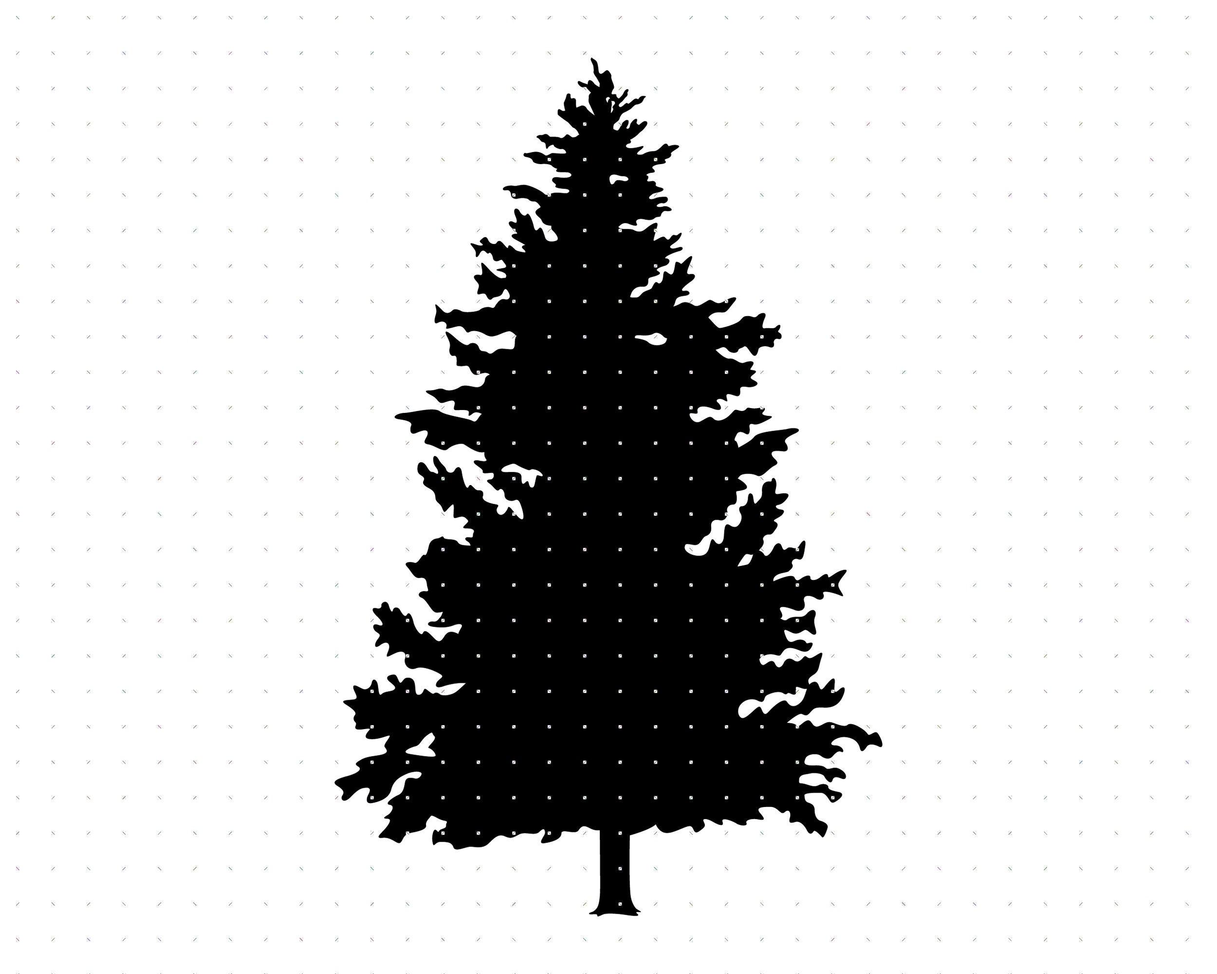 Spruce Tree Silhouette