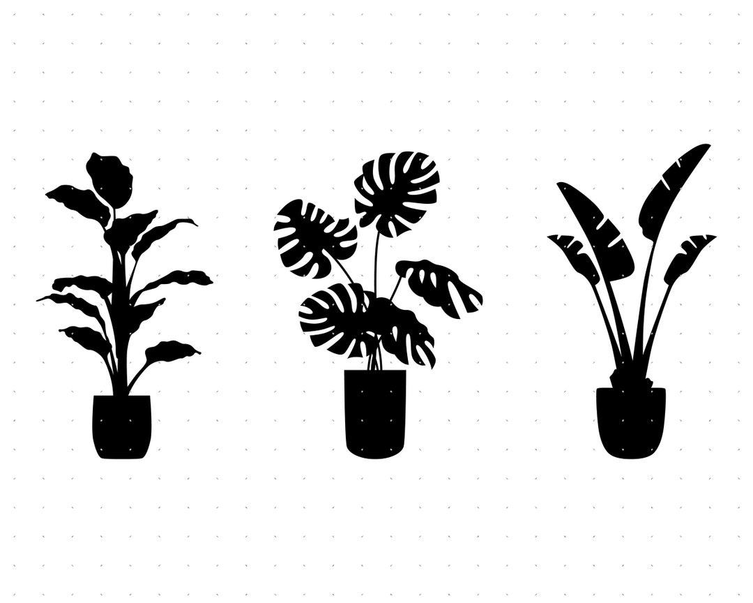 Indoor Plants Silhouette Svg, Indoor Plants Clipart, Plants Png, Dxf ...