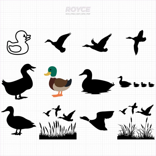 Duck Svg - Etsy