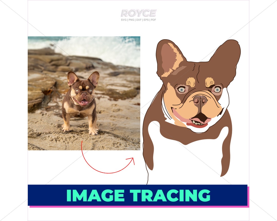 Vector Tracing Service, Pixelated Image to Crisp Vector, Photo to SVG, Image to Vector, Fast ...