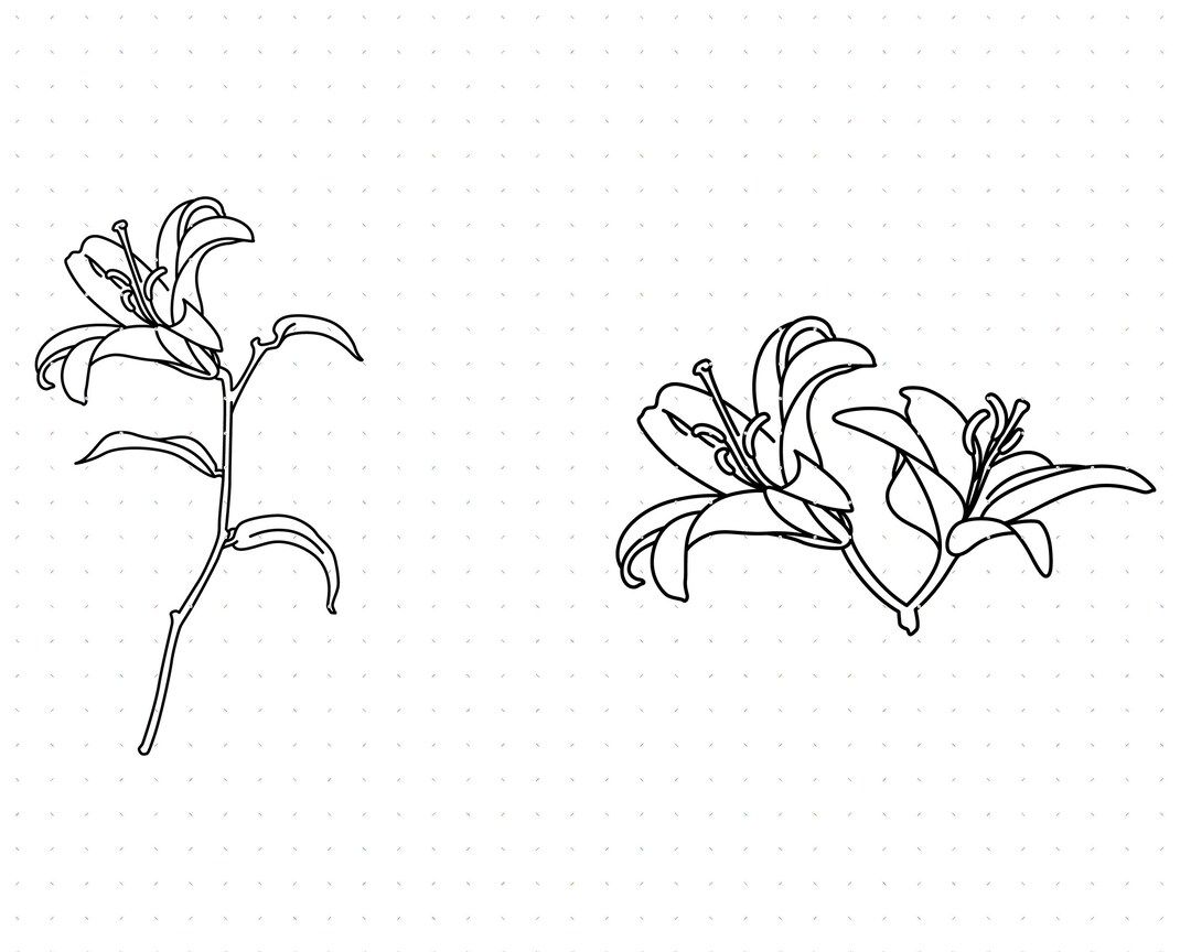 Lily Flower Svg, Lily Plant Clipart, Lily Flower Png, Lily Plant Dxf ...