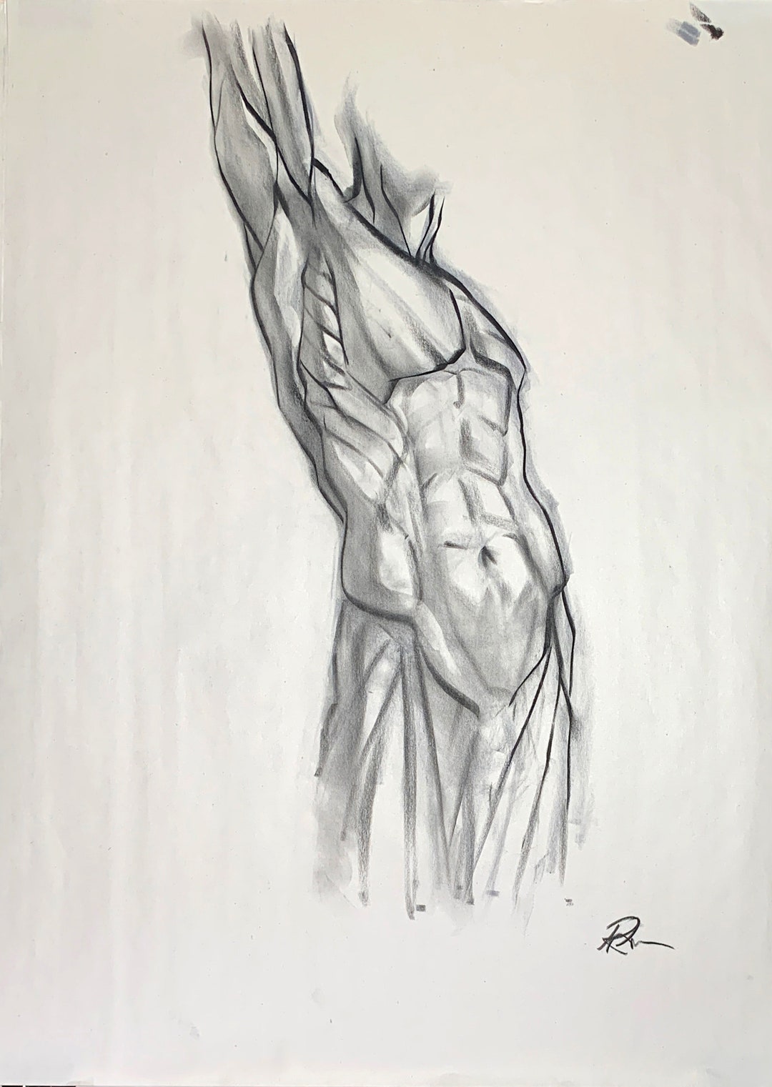 Écorché' Study Charcoal Drawing 60x40cm Approx - Etsy