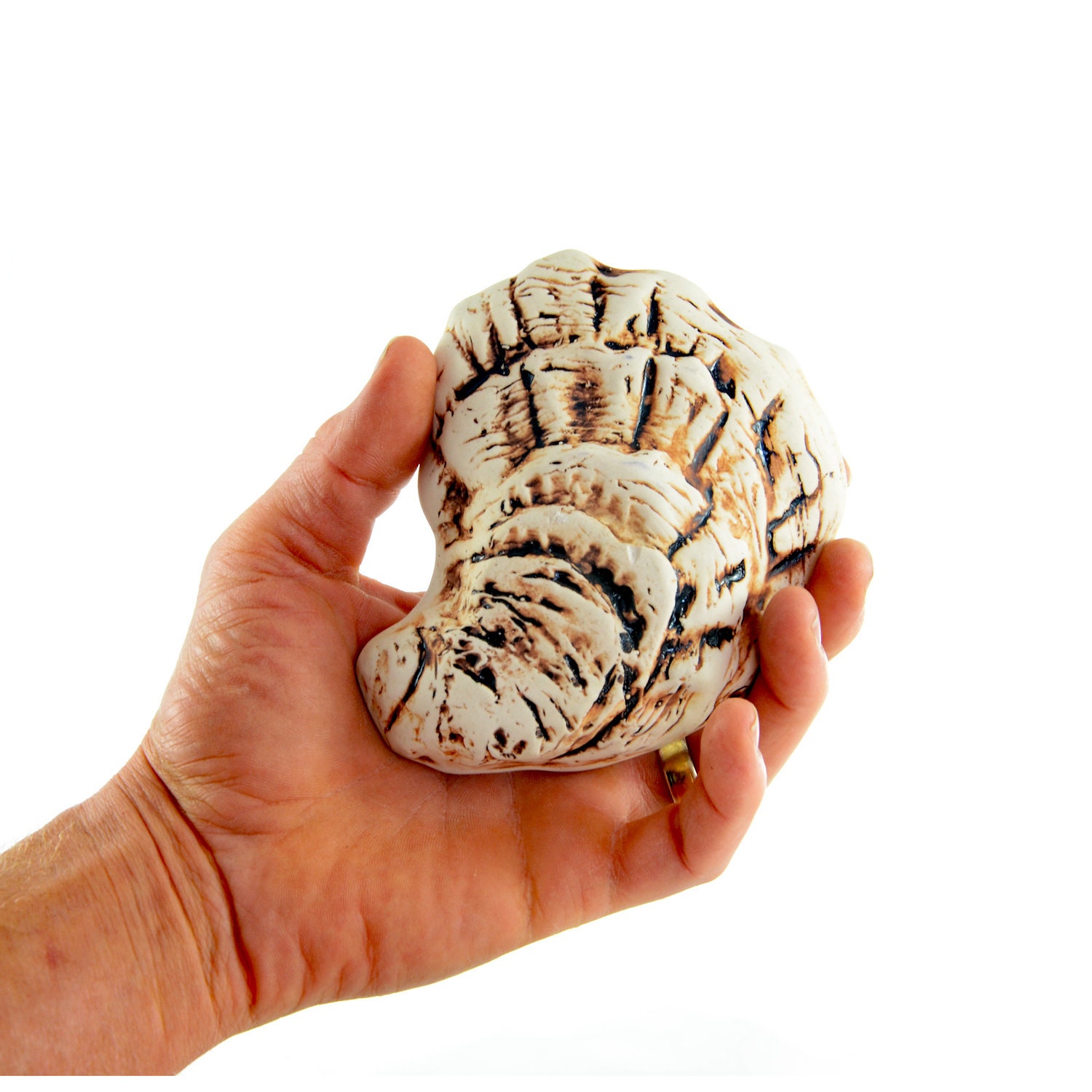 Ceramic Oyster Shells for Grilling: Handmade Stoneware, 12-pack - Etsy