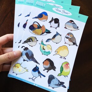 Roun Frens - Round Bird Matte Sticker Set, Cute Birds Animal Gift ...