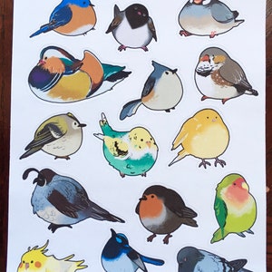 Roun Frens - Round Bird Matte Sticker Set, Cute Birds Animal Gift ...