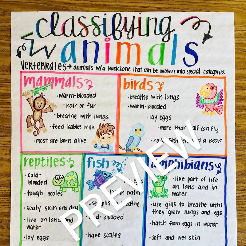 Classification Chart - Etsy