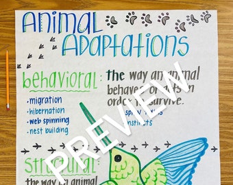 Animal Adaptations Anchor Chart for Elementary, Middle and High School ...