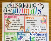Animal Classification Anchor Chart - Etsy
