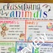Animal Classification Anchor Chart - Etsy