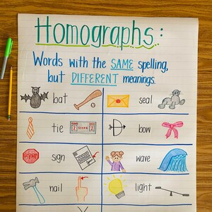 Homographs Anchor Chart - Etsy
