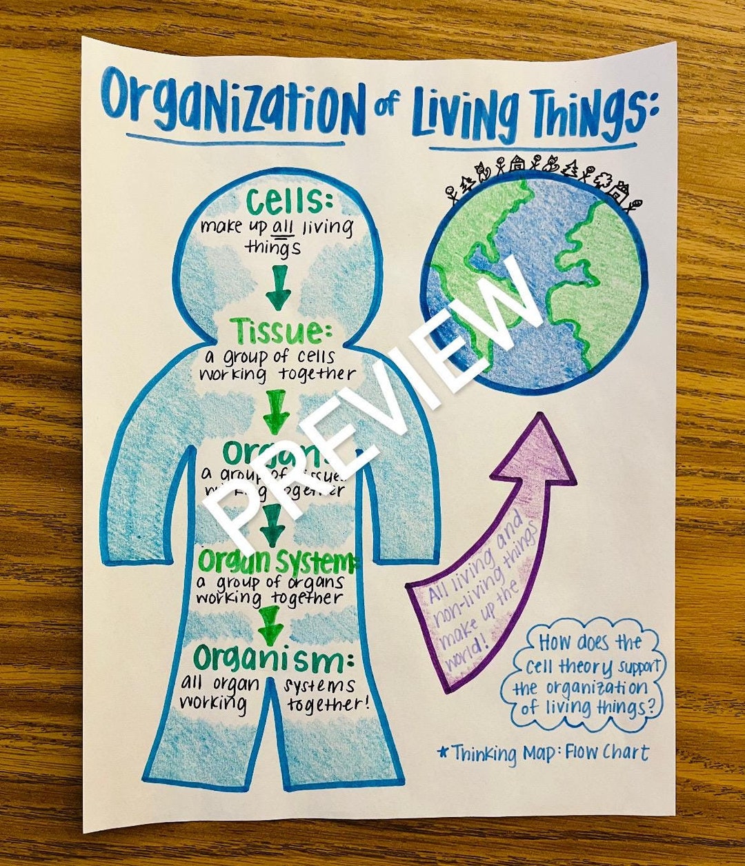 Organization of Living Things Anchor Chart - Etsy