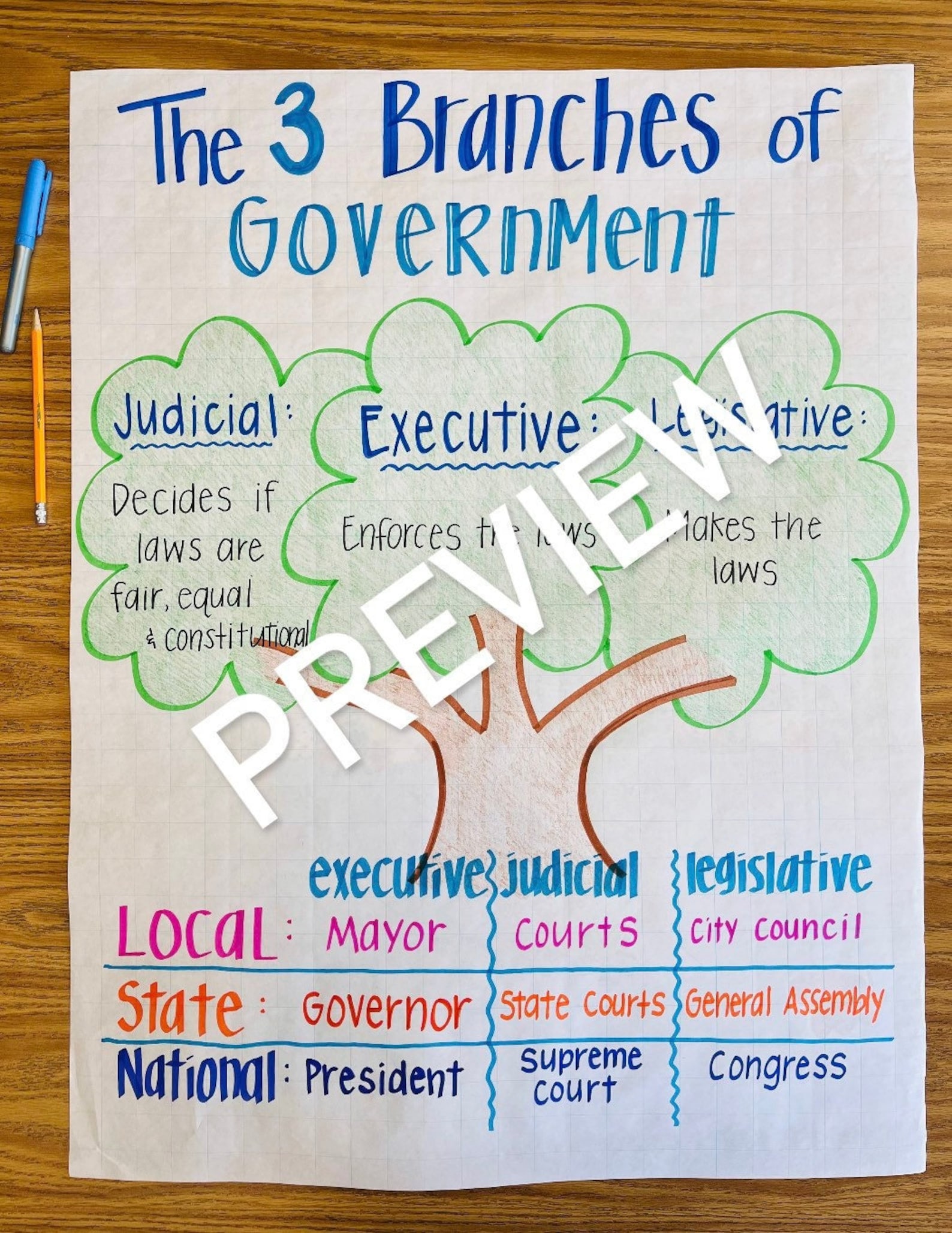 The 3 Branches of Government Anchor Chart - Etsy