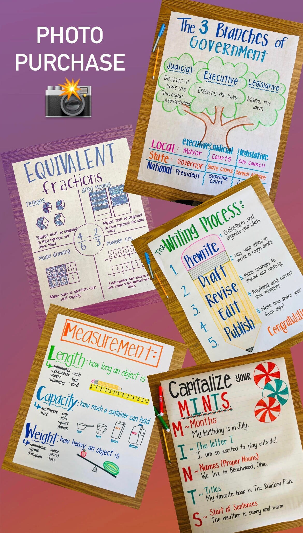 Three Branches Of Government Project Ideas