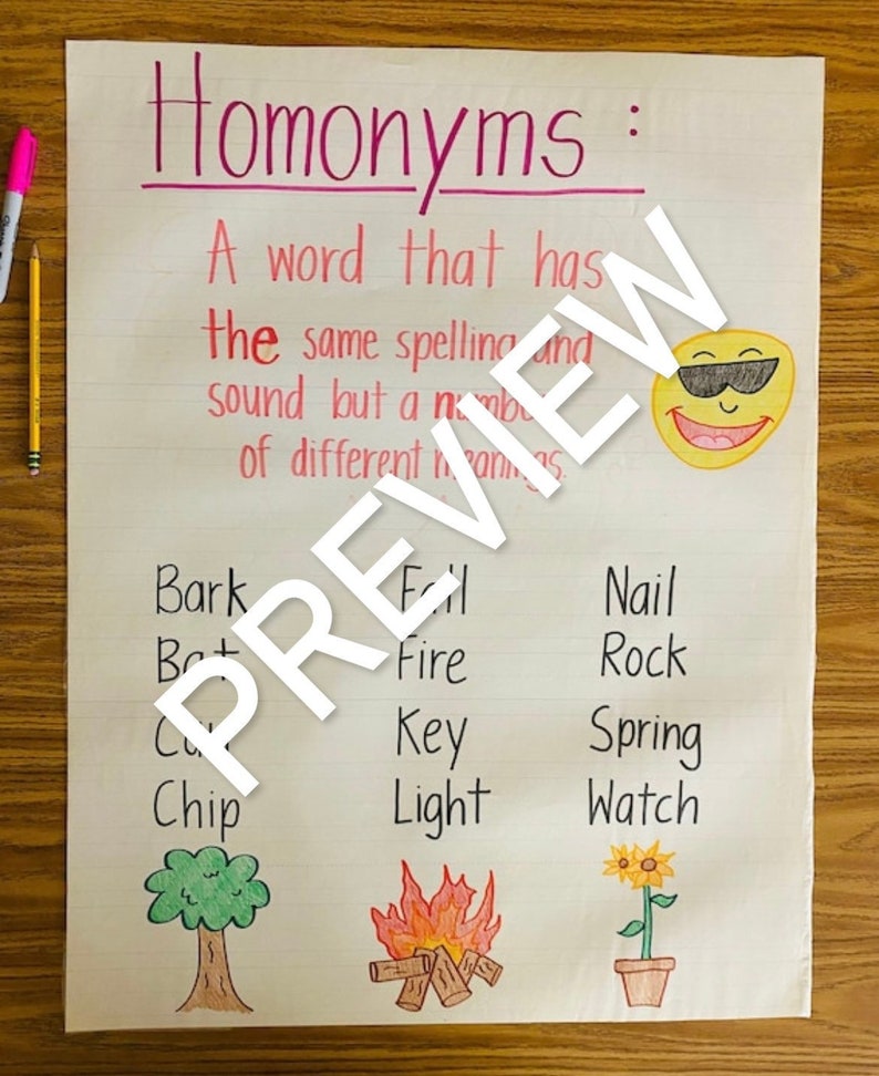 Homonyms Anchor Chart - Etsy