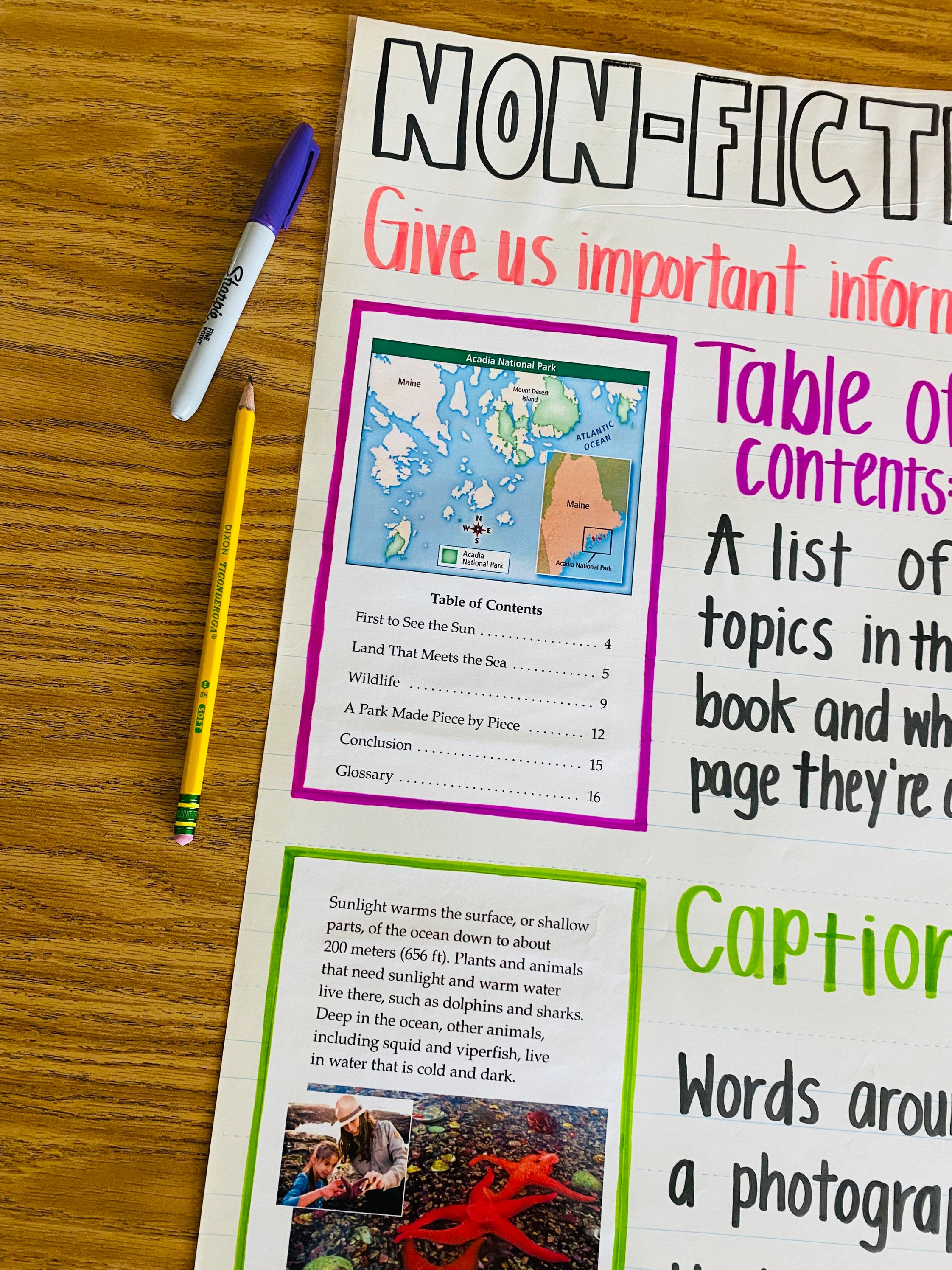 Non-fiction Text Features Anchor Chart - Etsy