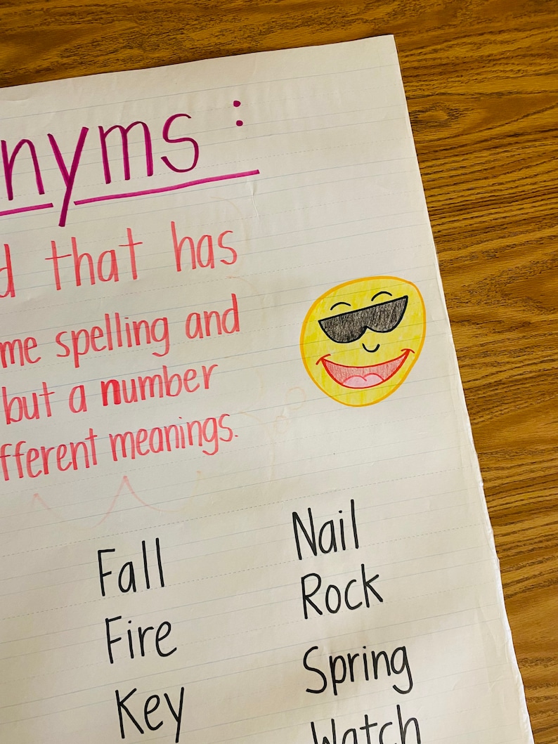Homonyms Anchor Chart - Etsy