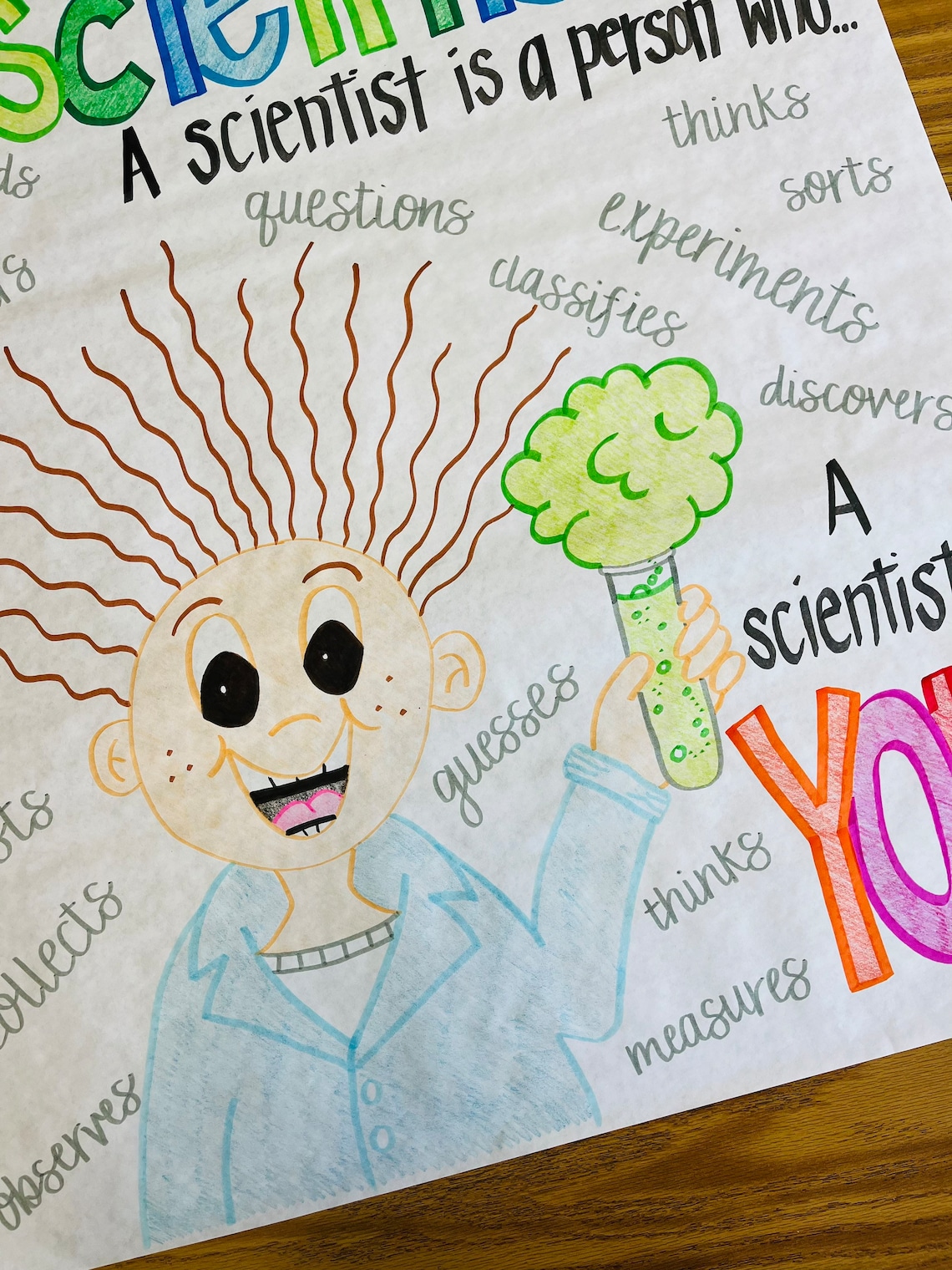 What is a Scientist Anchor Chart - Etsy