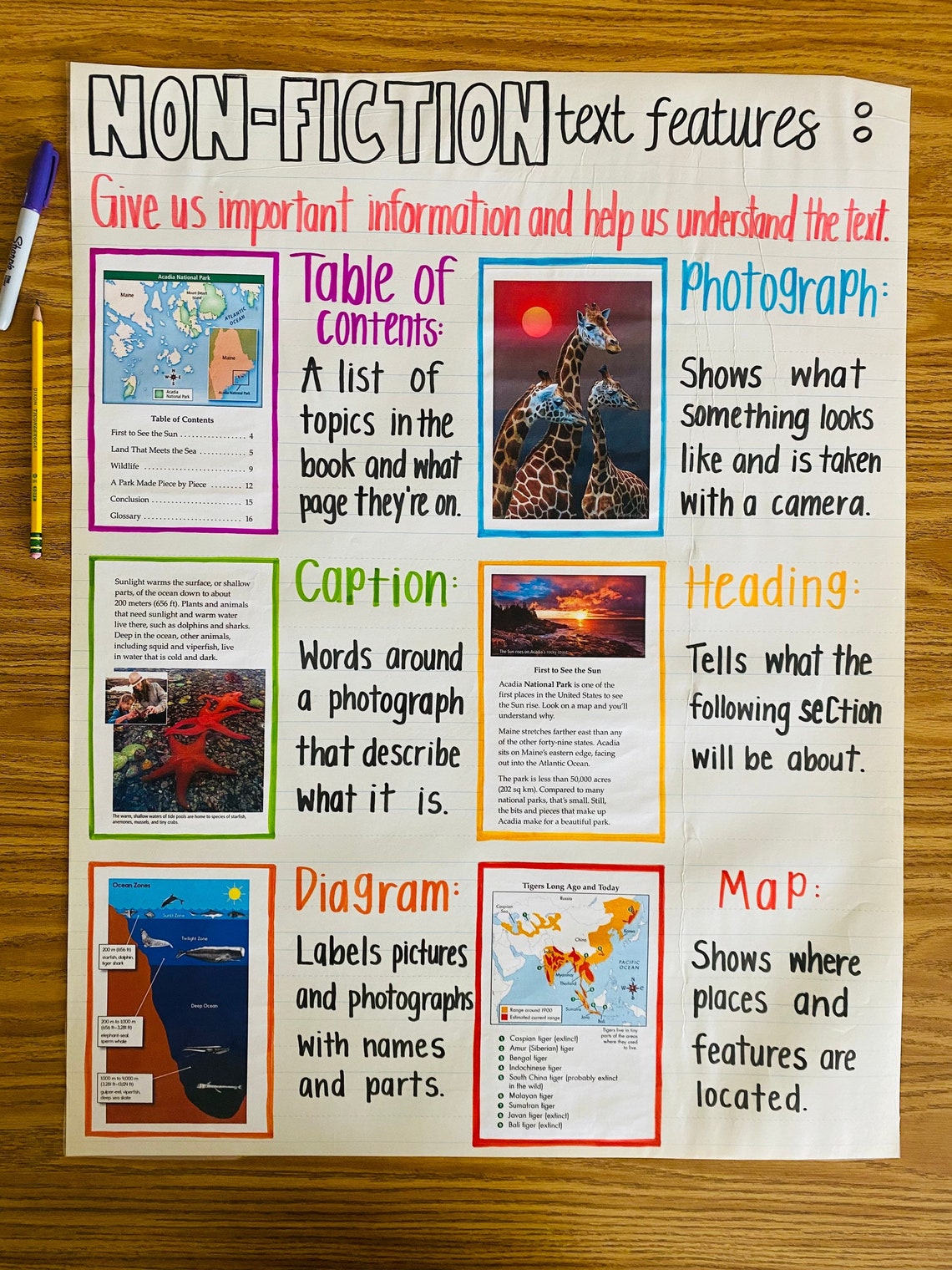 Non-fiction Text Features Anchor Chart | Etsy